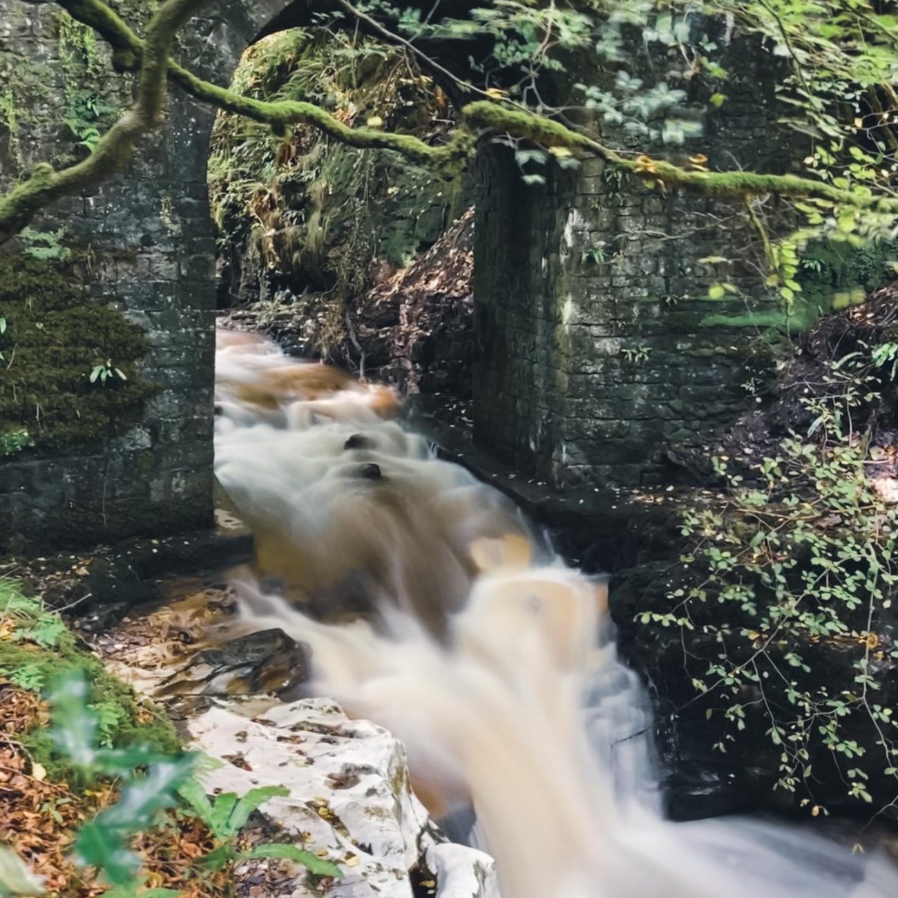 This Girl Walks | Clydach Gorge